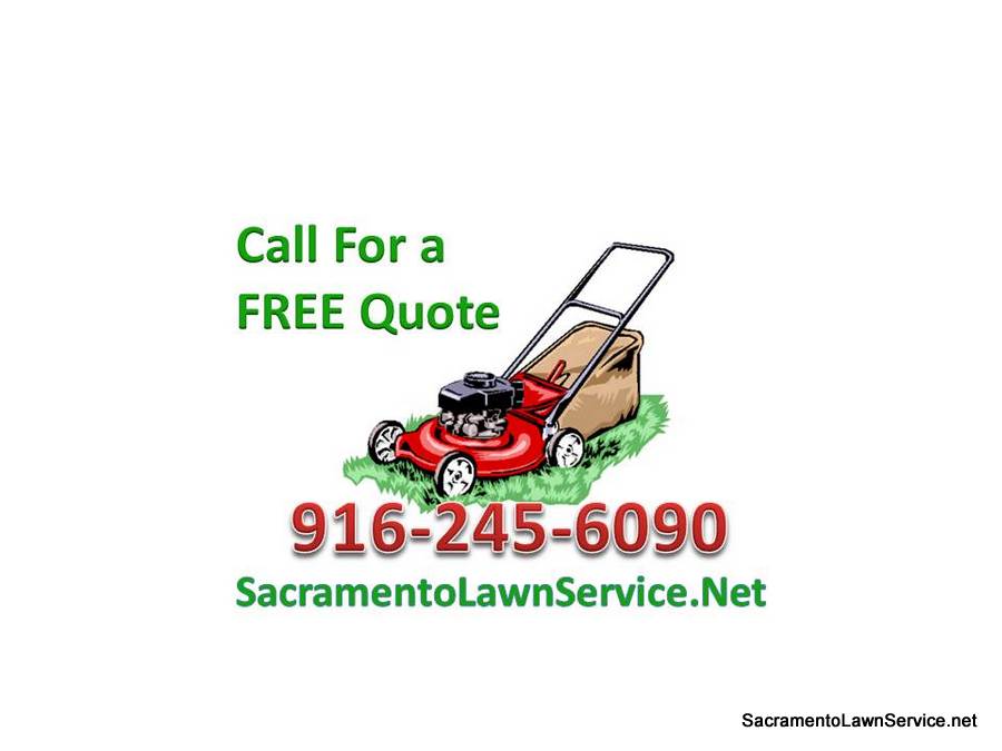 Full Lawn Service Tree Care Sprinkler Repair 916-245-6090